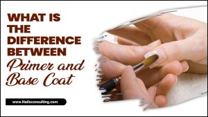 What Is The Difference Between Primer And Base Coat: Explain